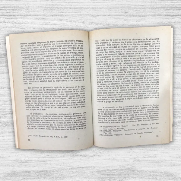 LA POBLACIÓN ABORIGEN EN EL VALLE DE LIMA EN EL SIGLO XVI - Librería de ...